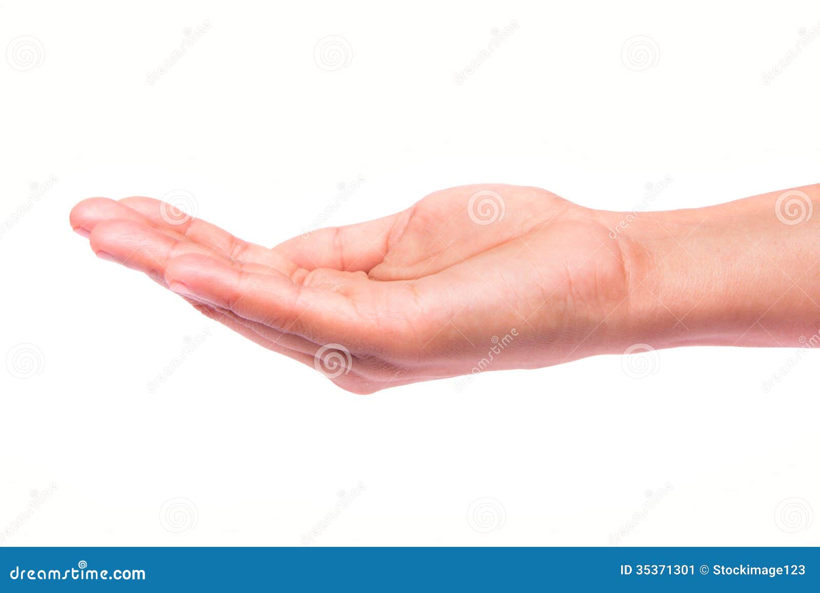 Hand Open stock image. Image of helping, nature, carrying - 35371301