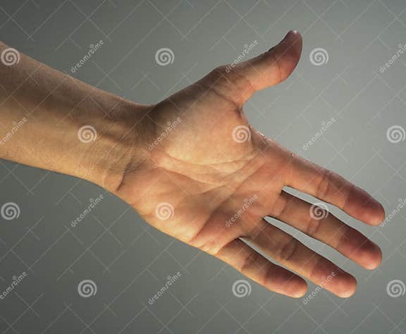Hand outstretched stock image. Image of reach, palm, shake - 5557367