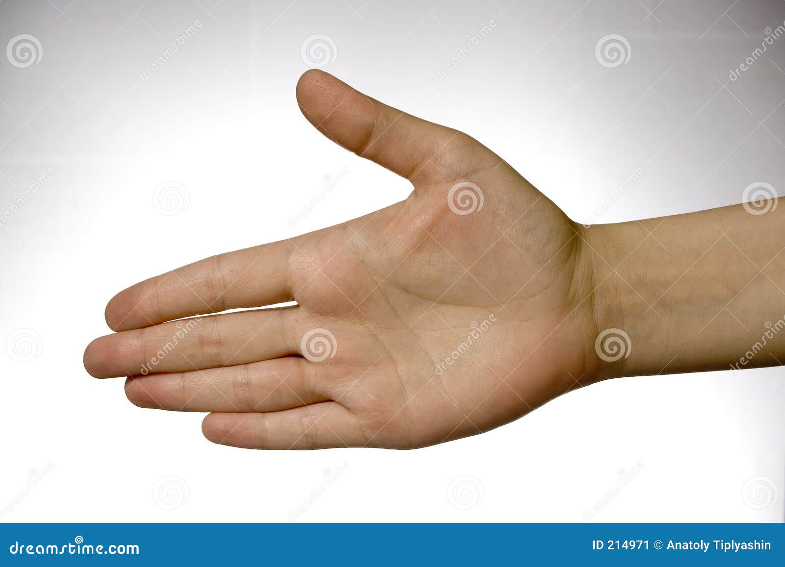 Hand over white stock image. Image of hand, girl, offer - 214971