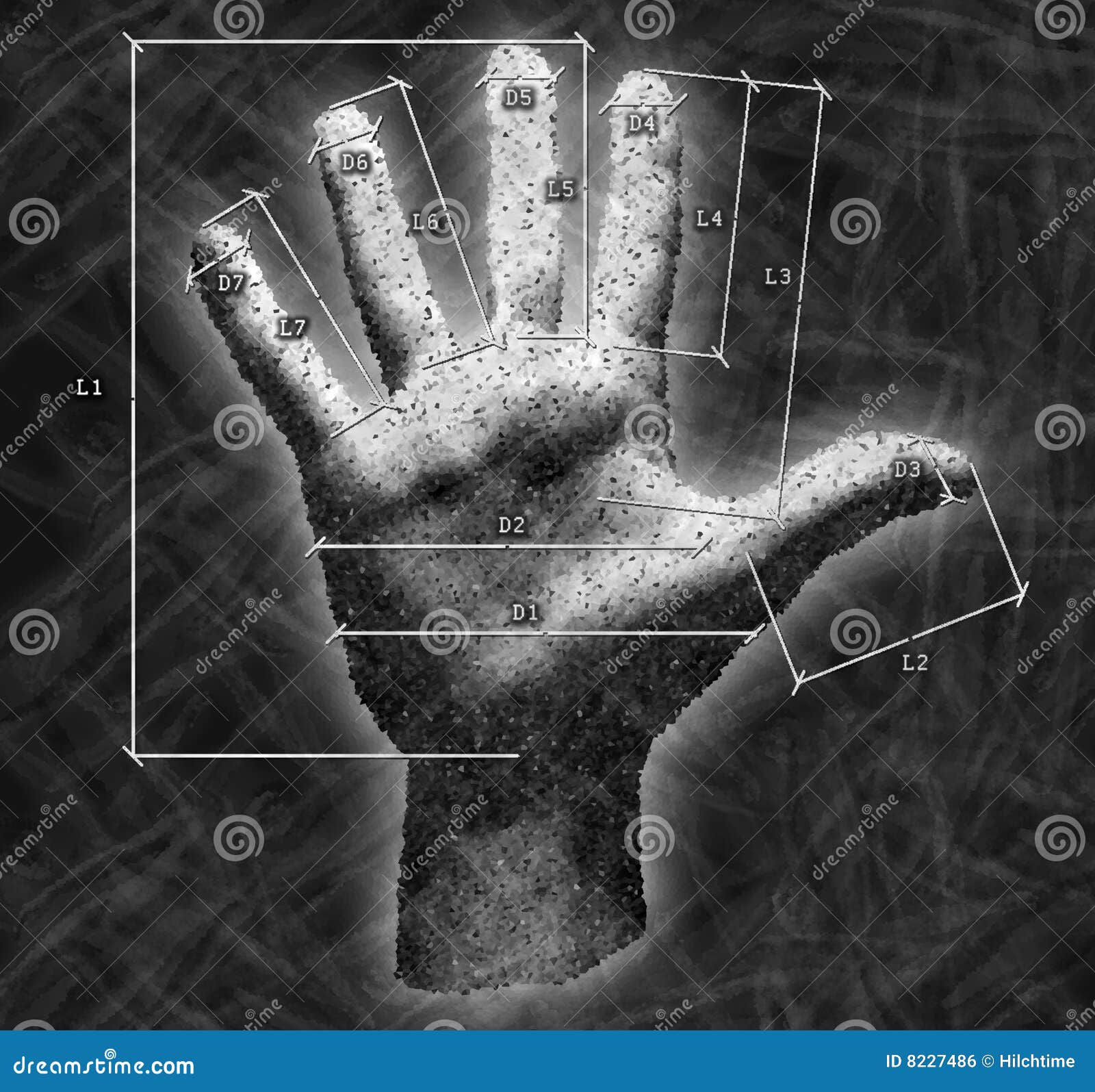 Hand with Overall Dimensions Stock Illustration - Illustration of ...