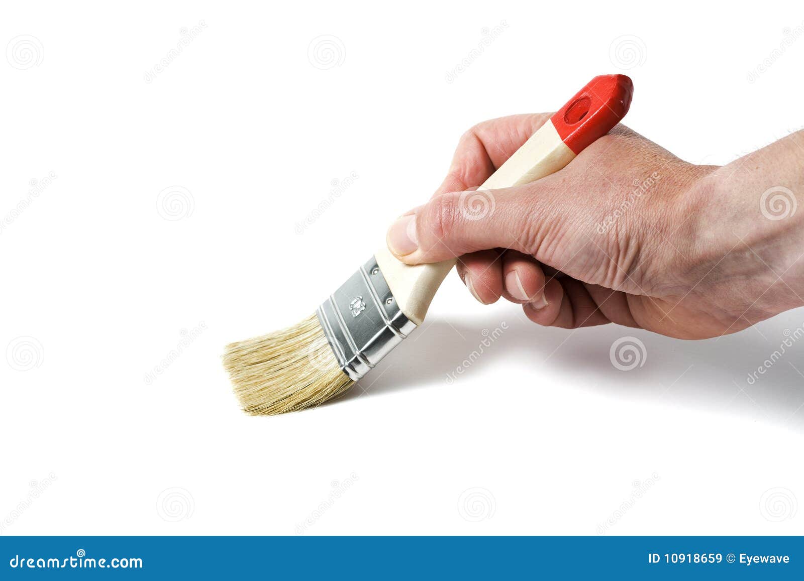 Hand with paintbrush stock image. Image of hand, paintbrush - 10918659