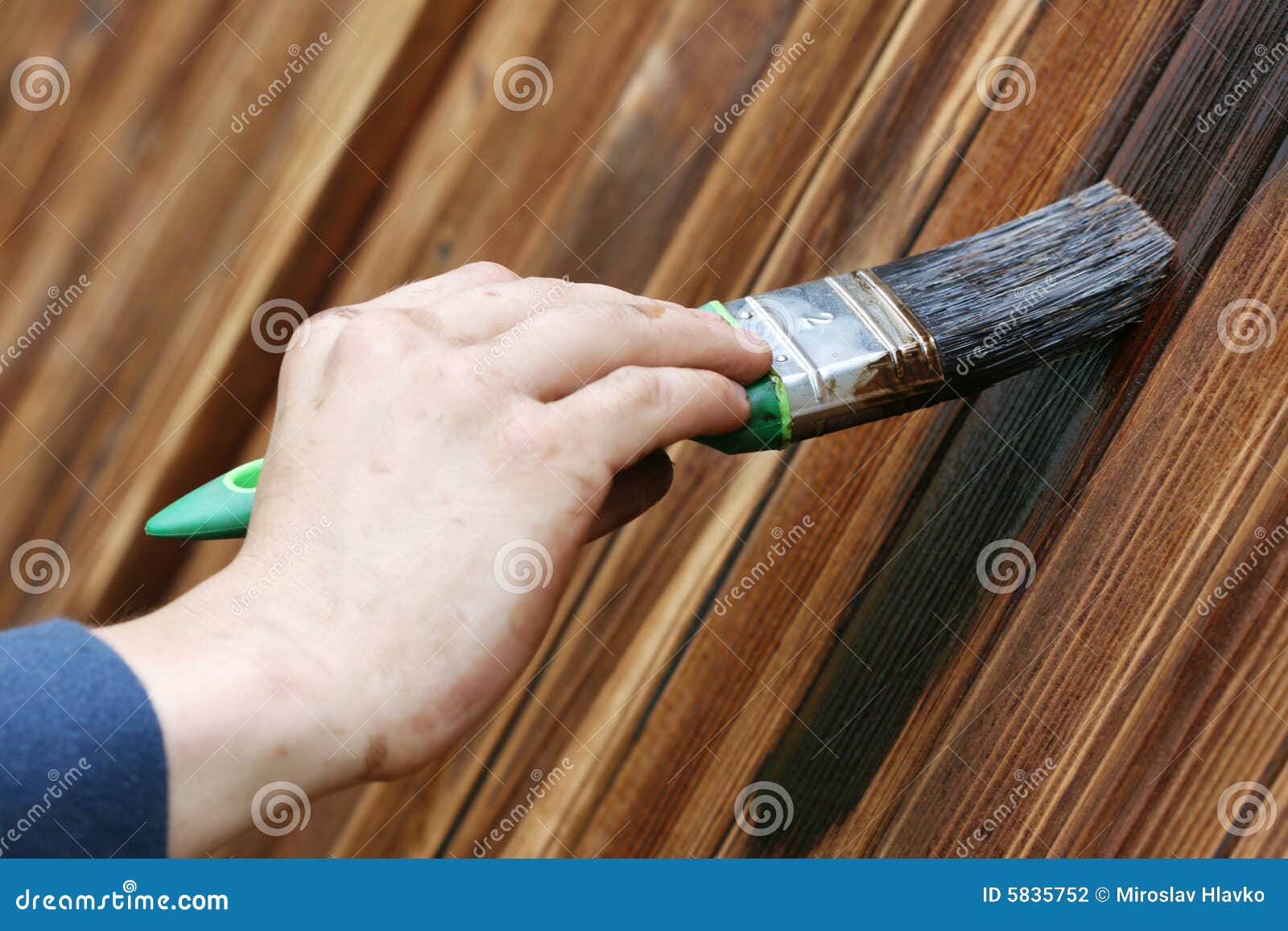 Hand with paintbrush stock photo. Image of brush, employment - 5835752