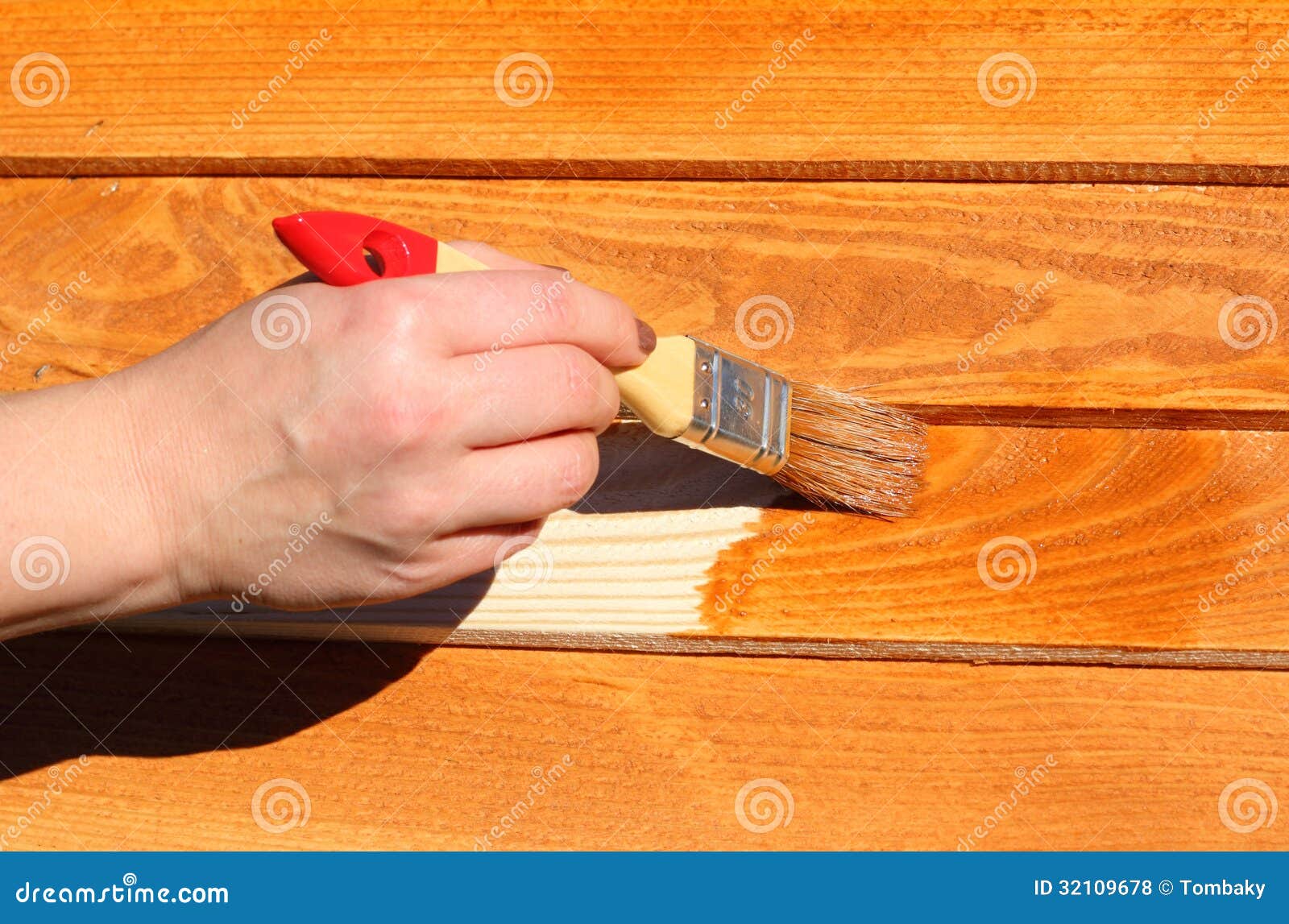 Hand with paintbrush stock photo. Image of clean, painter - 32109678