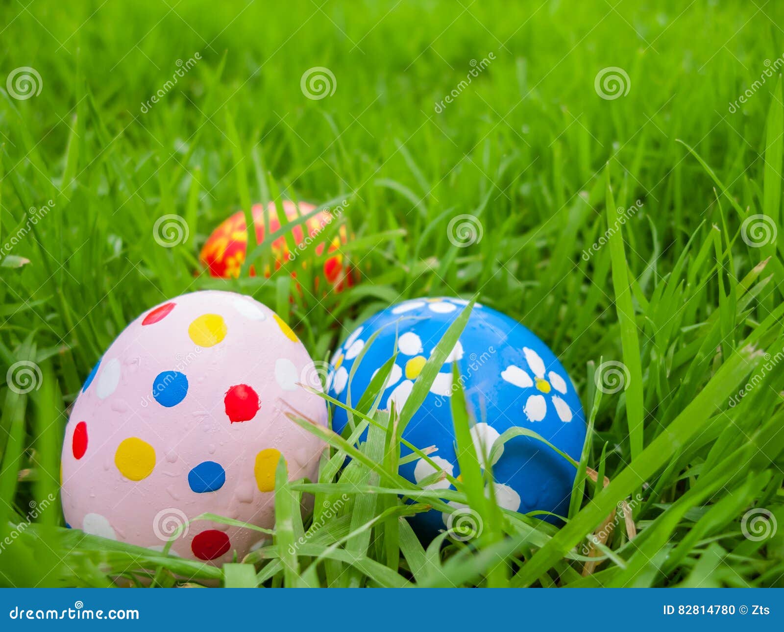 Hand Painted Easter Eggs Hidden on the Grass Stock Photo - Image of ...