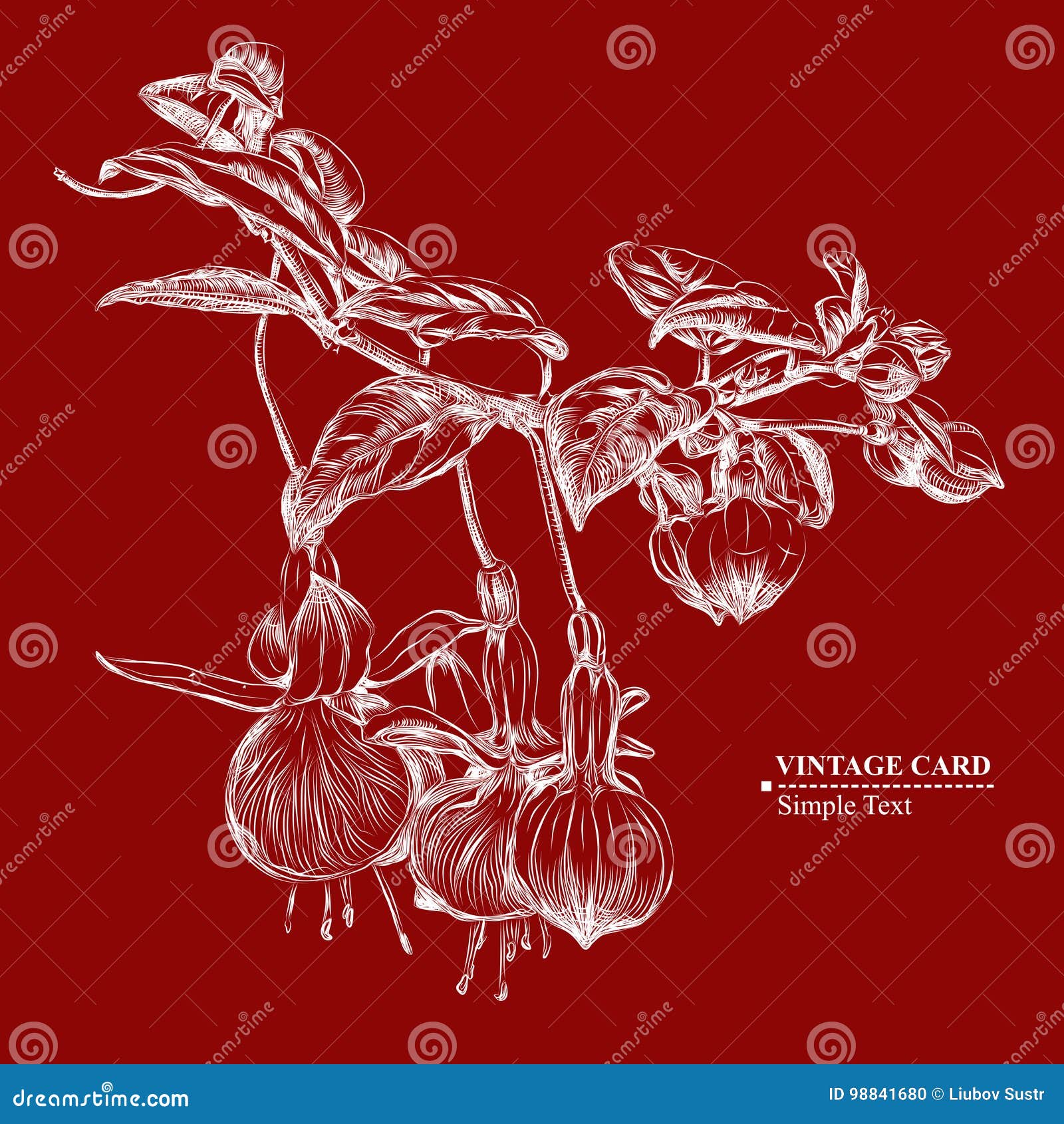 Hand Painted Fuchsia - Vintage Card Stock Vector - Illustration of ...