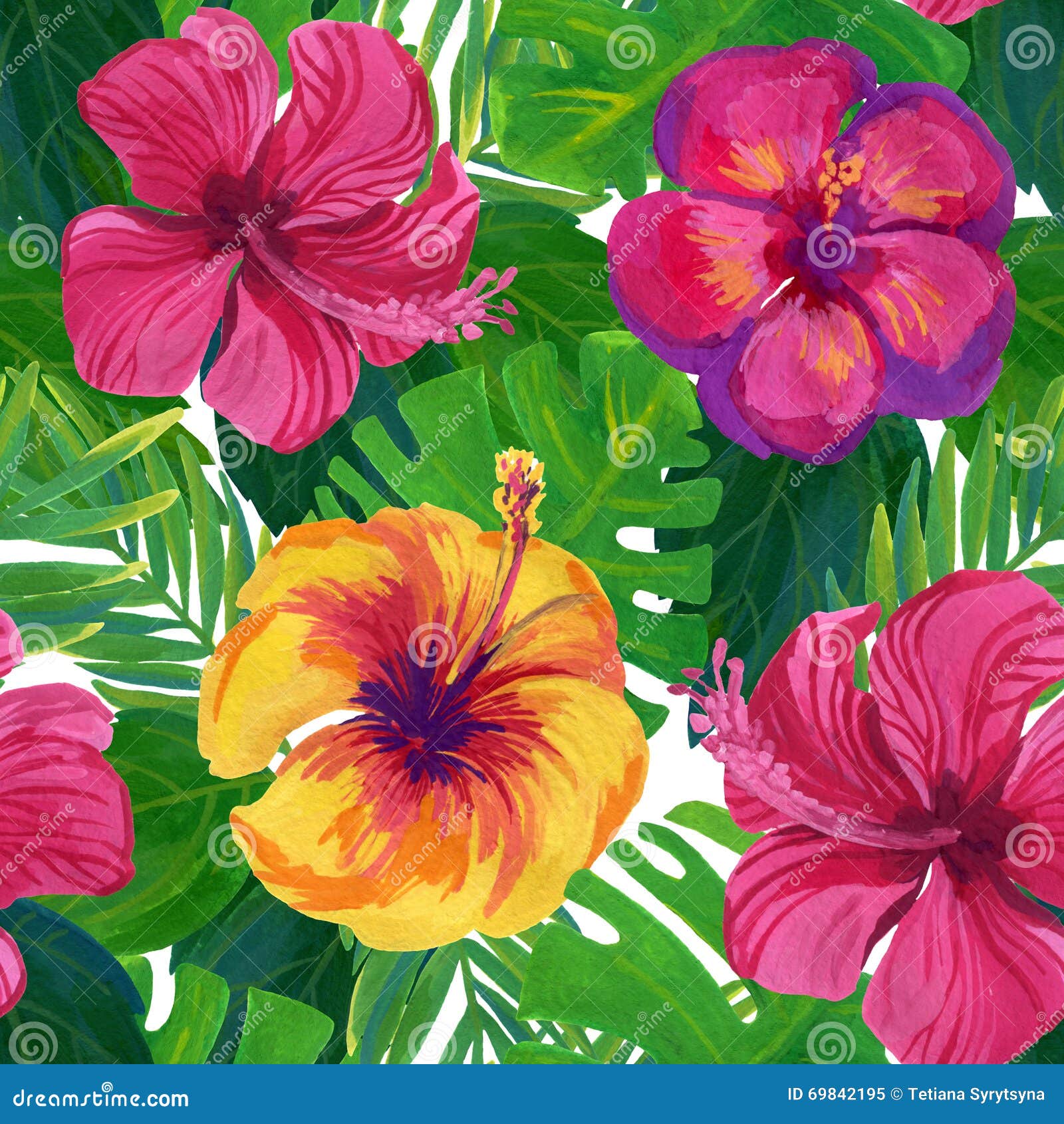 Hand Painted Hibiscus Flower Stock Illustration - Illustration of paint ...