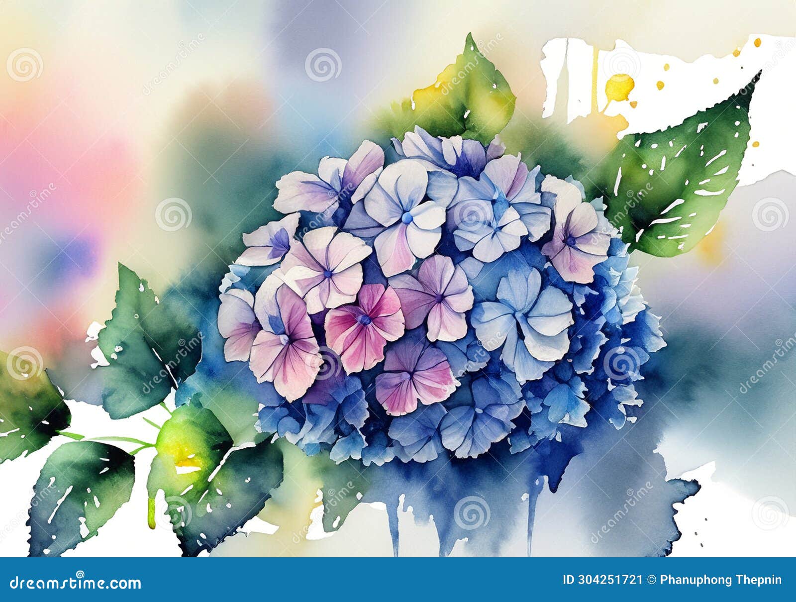Hand Painted Hydrangea Plant Stock Illustration - Illustration of ...