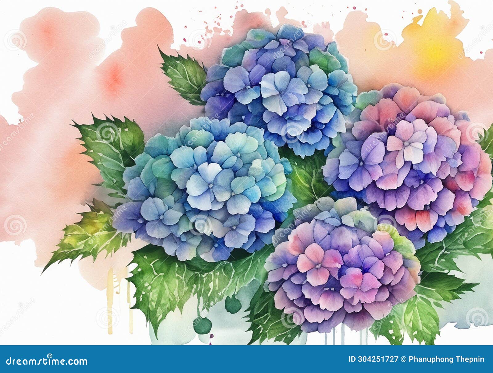 Hand Painted Hydrangea Plant Stock Illustration - Illustration of ...