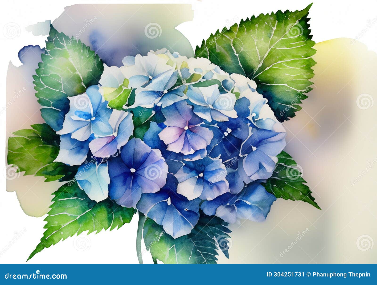 Hand Painted Hydrangea Plant Stock Illustration - Illustration of plant ...