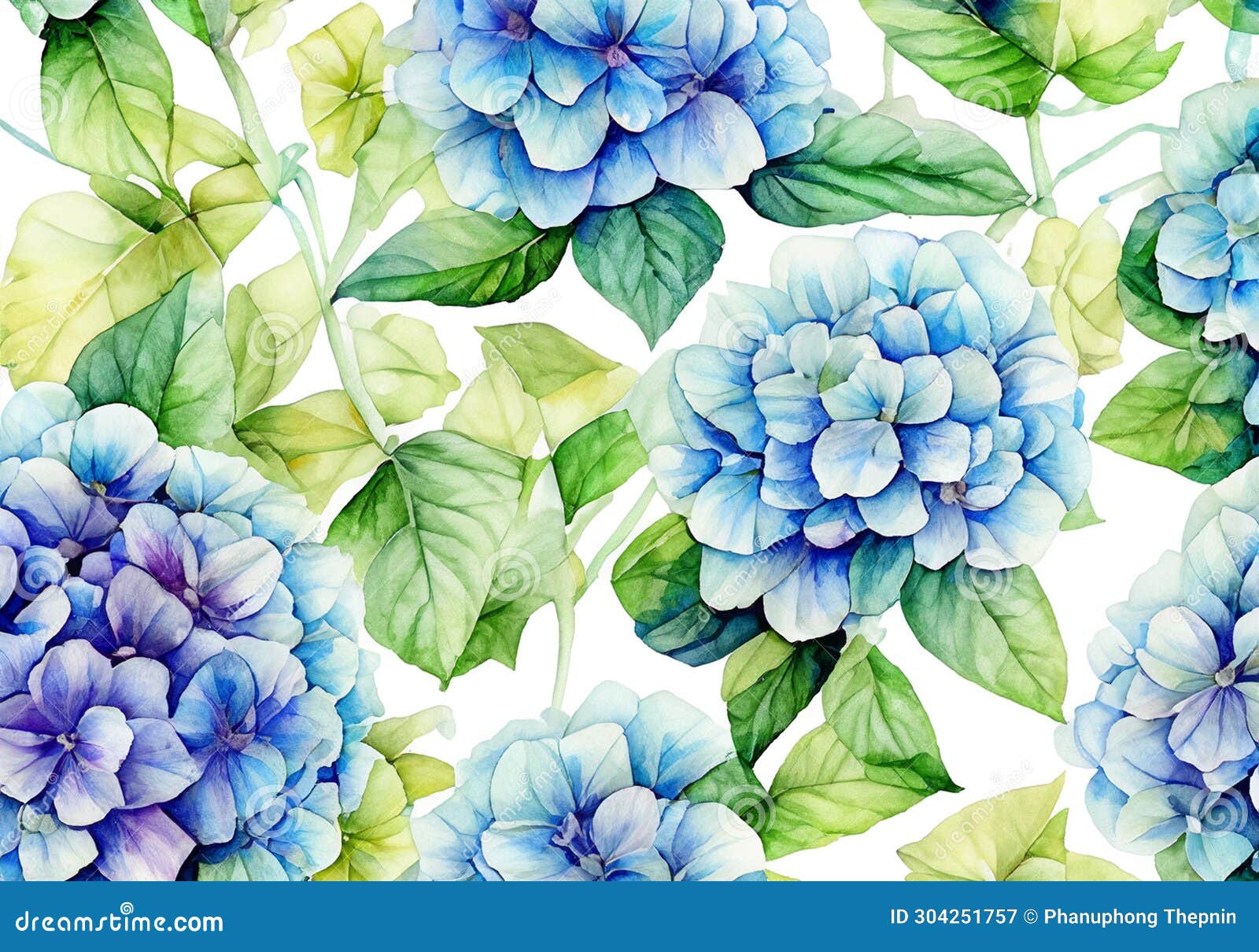Hand Painted Hydrangea Plant Stock Illustration - Illustration of ...