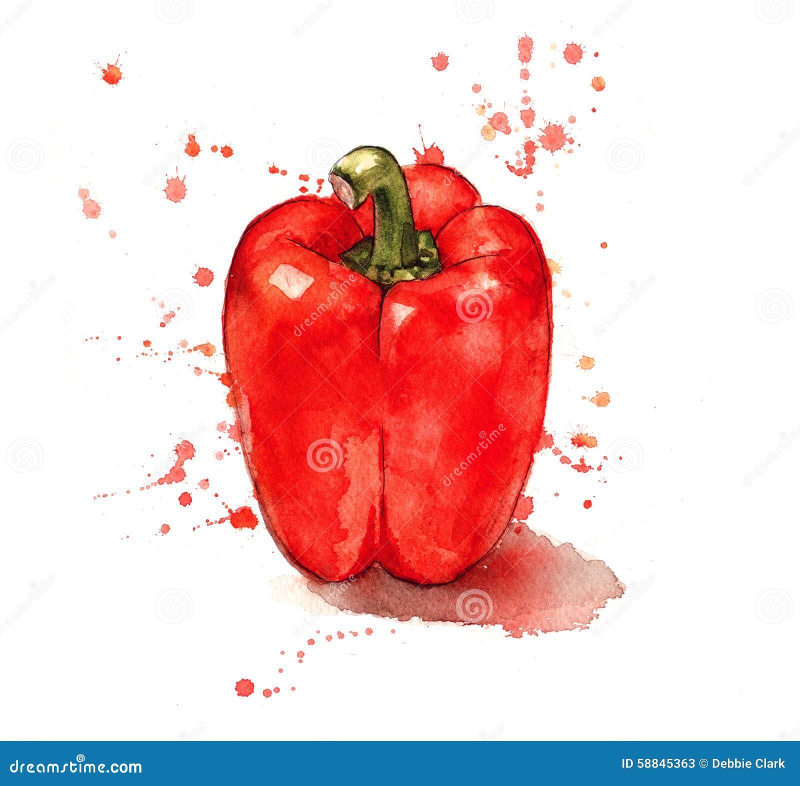 Hand Painted Red pepper stock illustration. Illustration of edible ...
