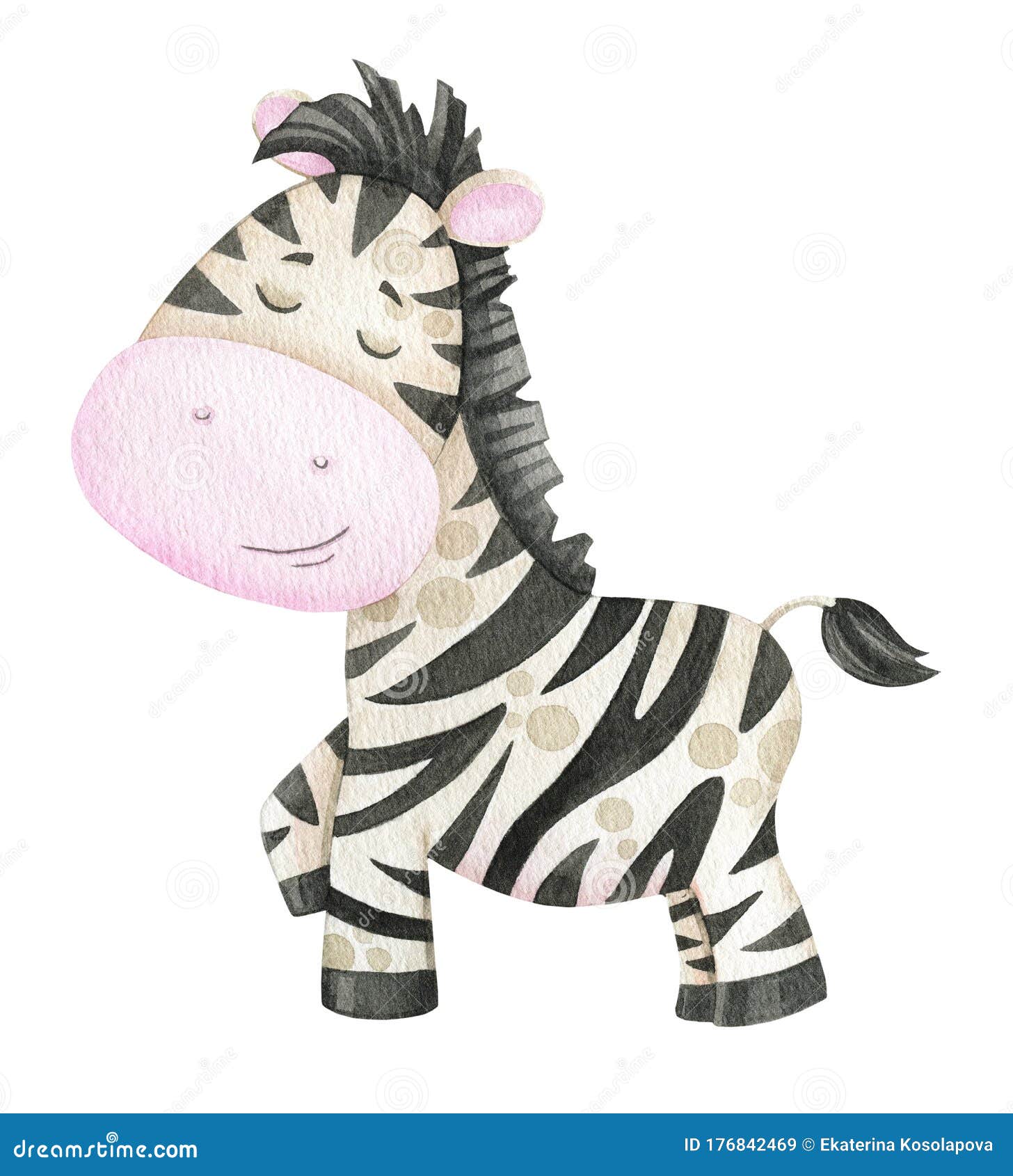 Hand Painted Watercolor Cute Zebra Illustration Stock Illustration ...