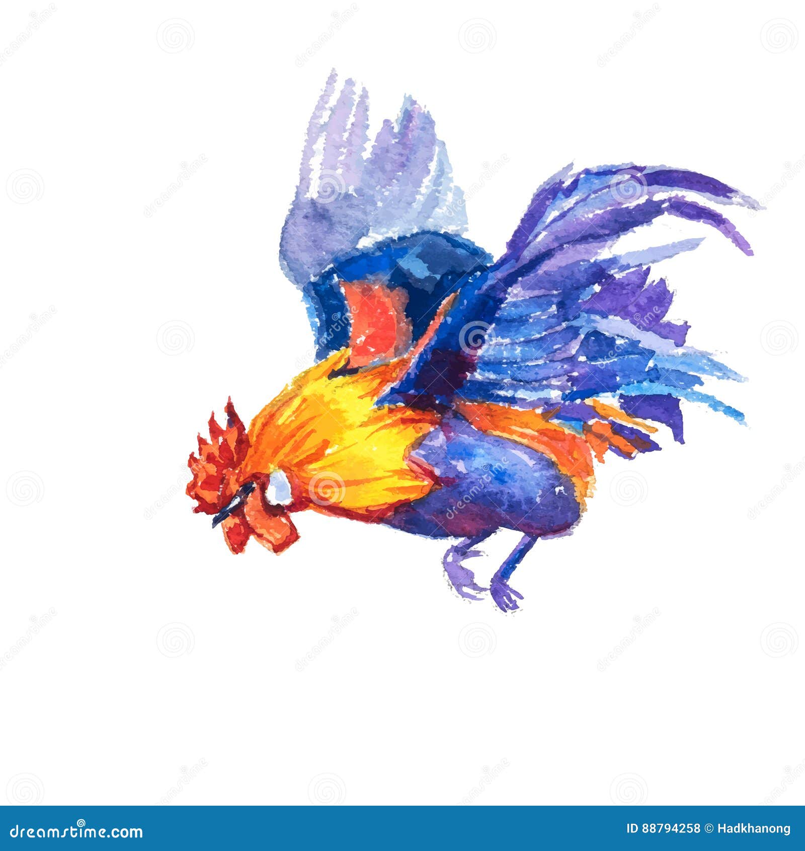 White Bantam Chicken Bird Vector Illustration Transparent Background ...