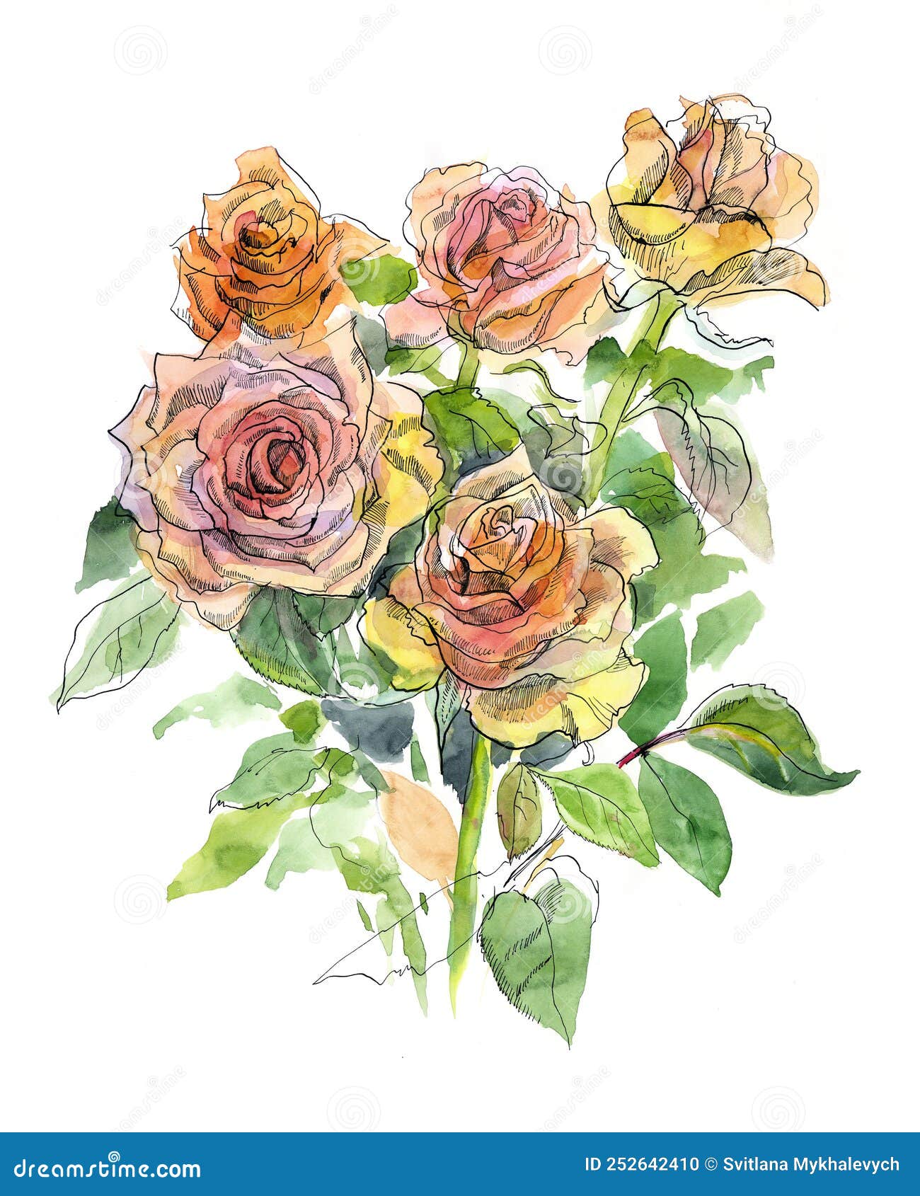 Hand Painted Watercolor Roses Stock Illustration - Illustration of ...