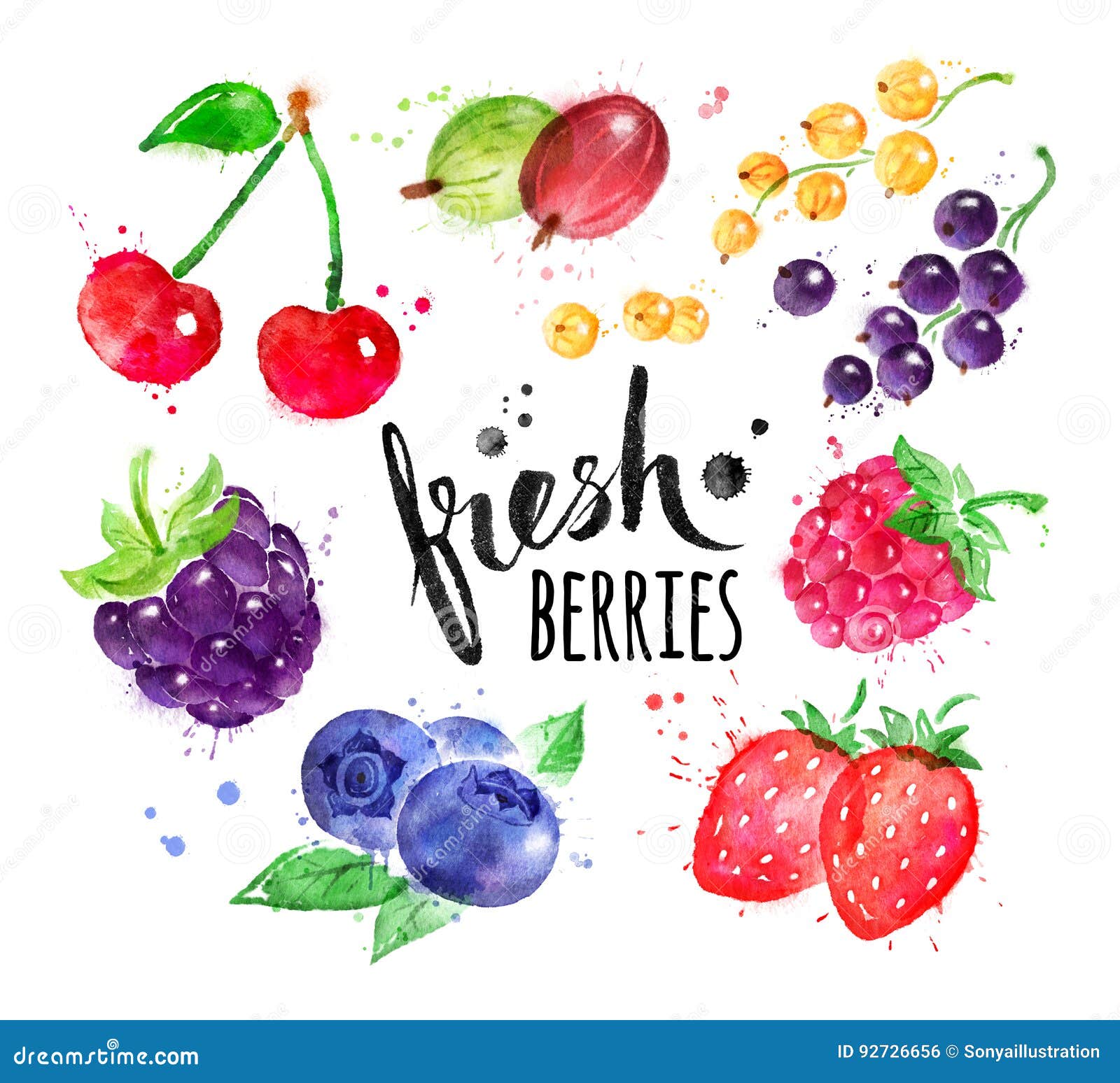 Hand Painted Watercolor Set of Berries Stock Illustration ... Hand Painted Watercolor Set of Berries Stock Illustration ...