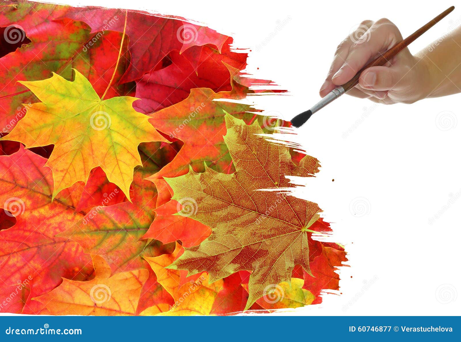 Hand Painting Autumn Foliage Stock Illustration - Illustration of ...