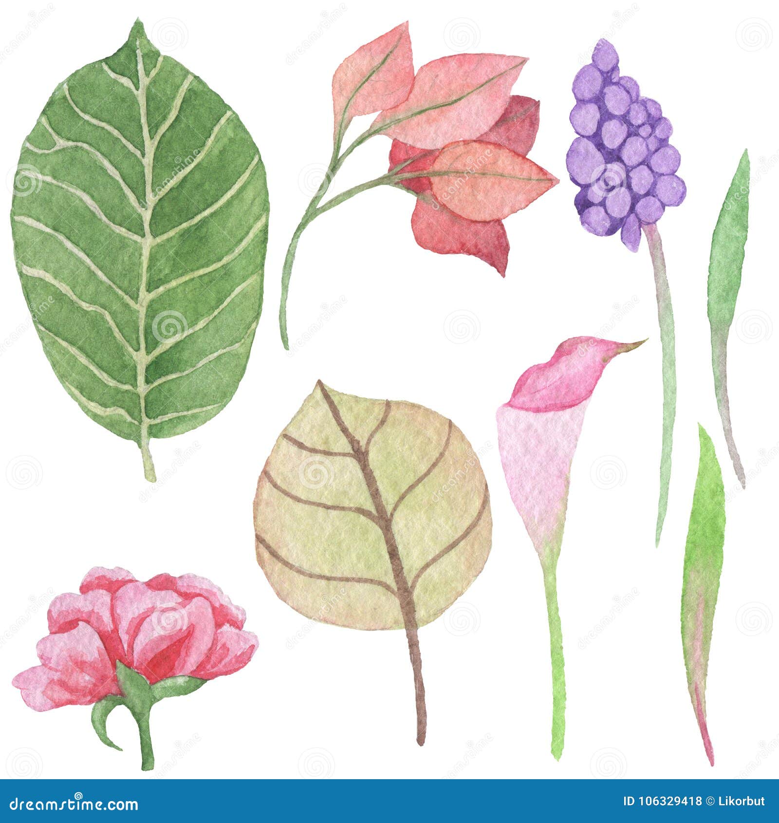 Watercolor elements set stock illustration. Illustration of paint ...