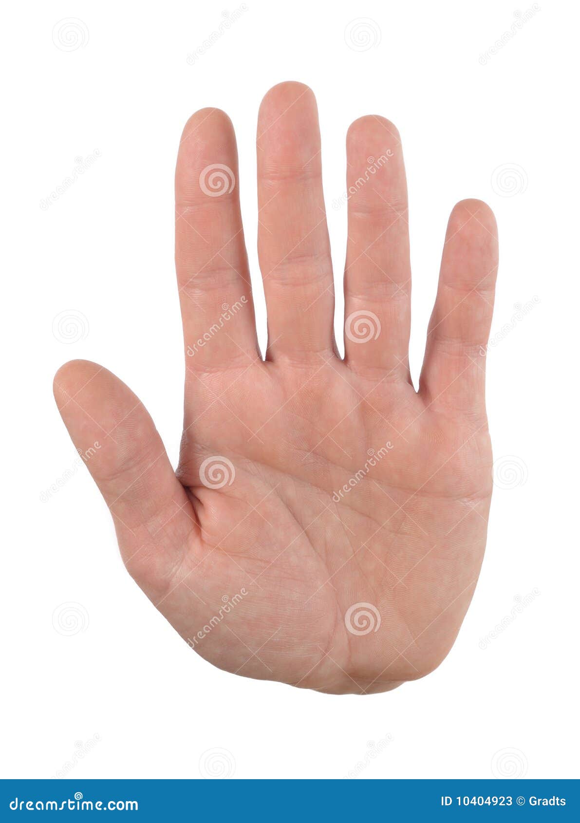 Hand palm stock image. Image of shield, isolated, veto - 10404923