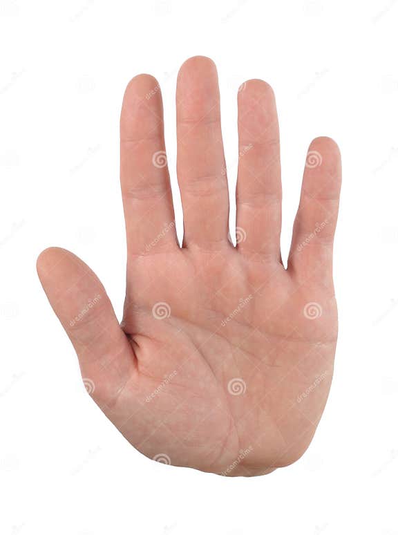 Hand palm stock image. Image of shield, isolated, veto - 10404923