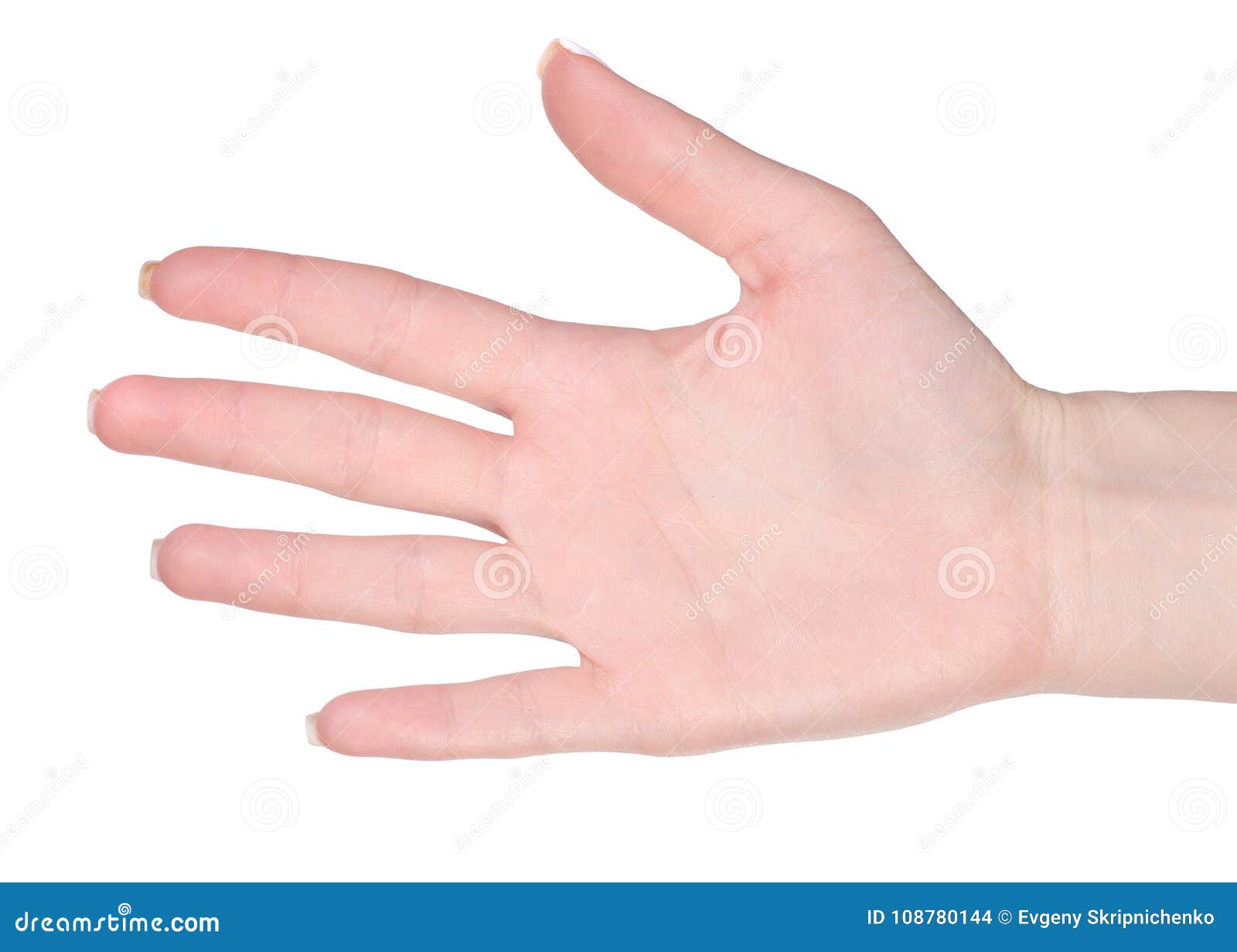 Hand palm isolation stock photo. Image of finger, body - 108780144