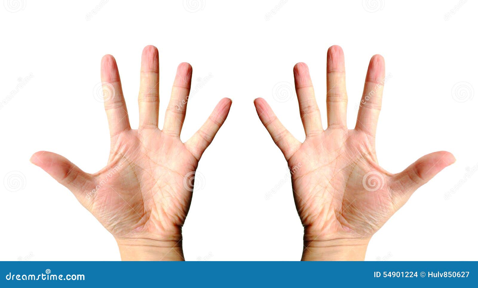 Hand palm stock photo. Image of gesture, entry, palm - 54901224