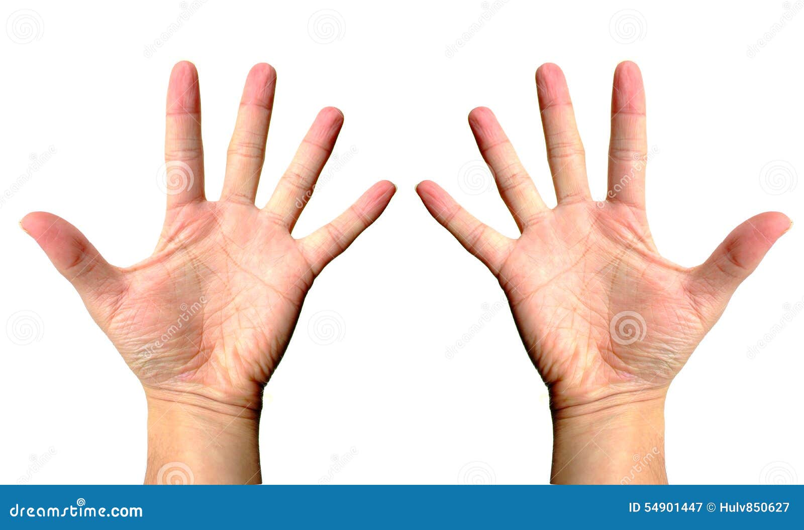 Hand palm stock image. Image of people, defensive, expression - 54901447