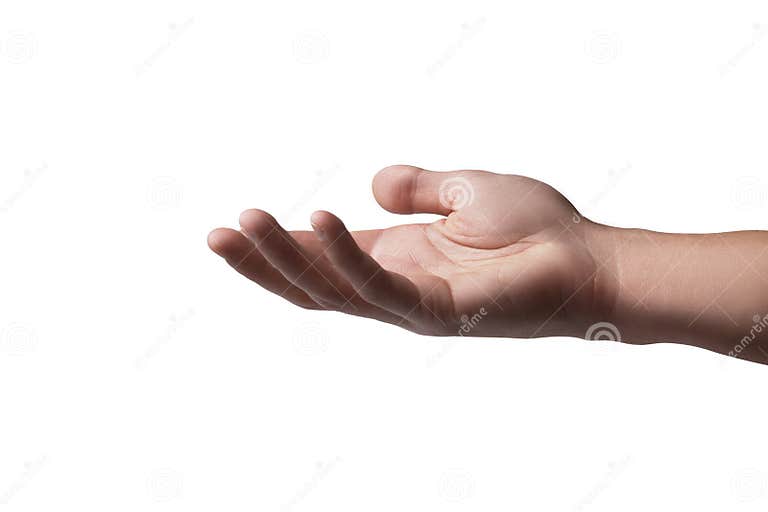 Hand Palm Up on White Background Stock Image - Image of communication ...