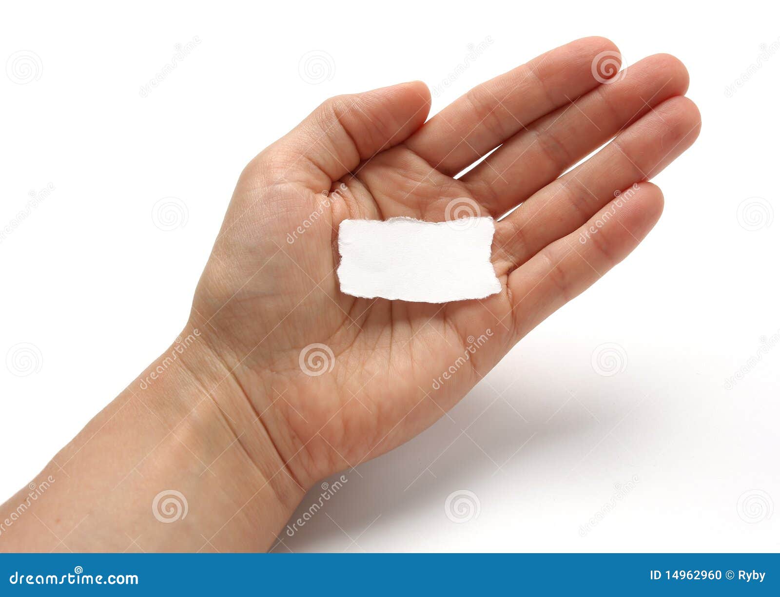 Hand with paper stock photo. Image of meeting, open, blank - 14962960