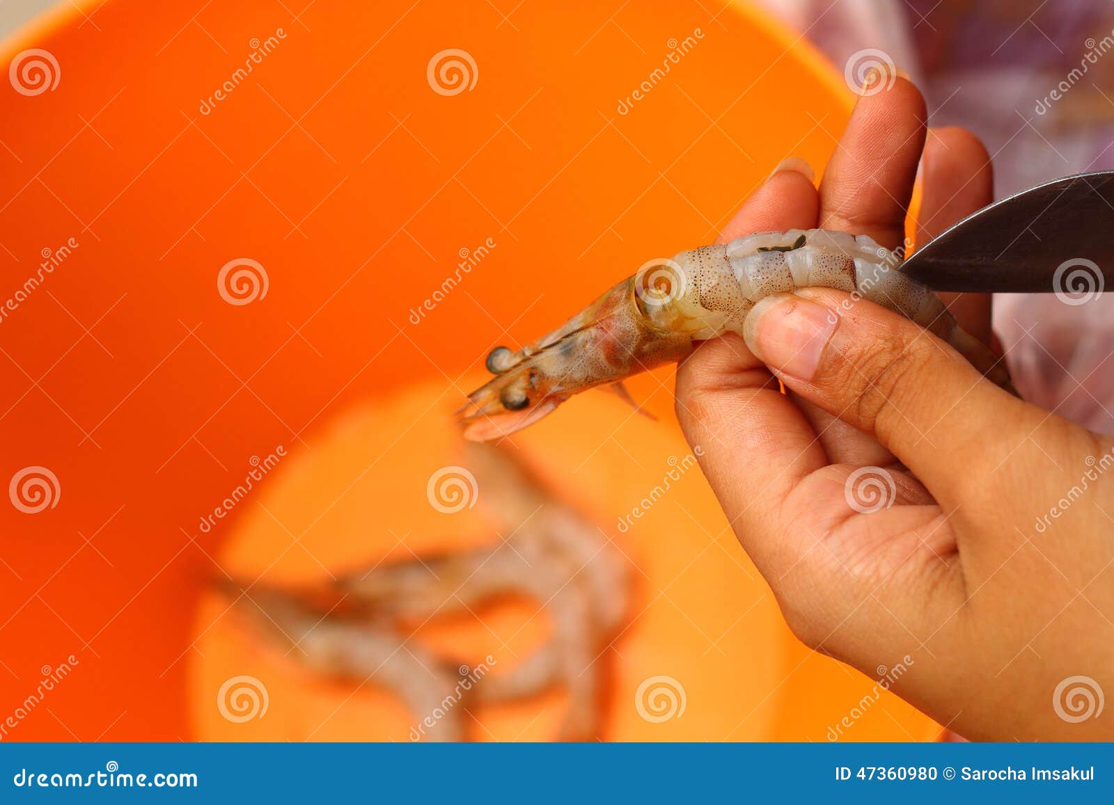 Hand Peeled Shrimp Dishes are Orange. Stock Photo - Image of peeling ...