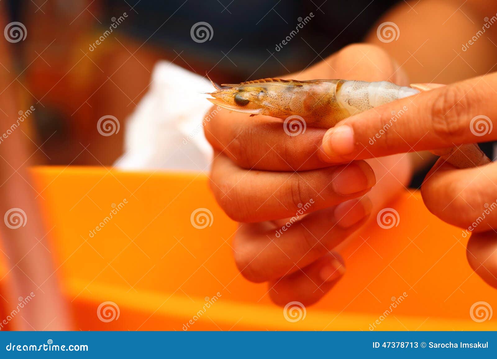 Hand Peeled Shrimp Dishes are Orange. Stock Image - Image of cook ...