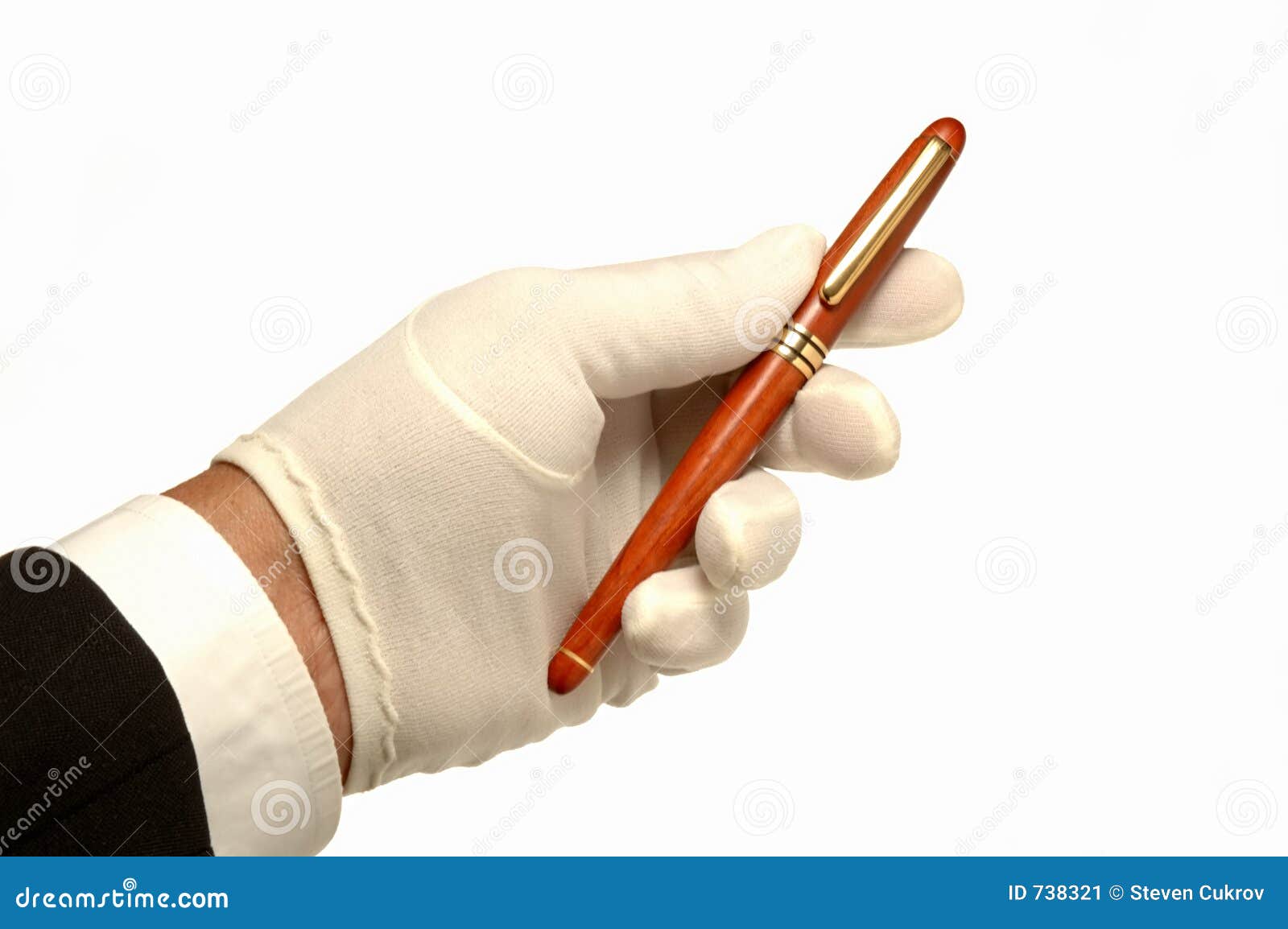 Hand & Pen stock image. Image of writting, courteous - 738321