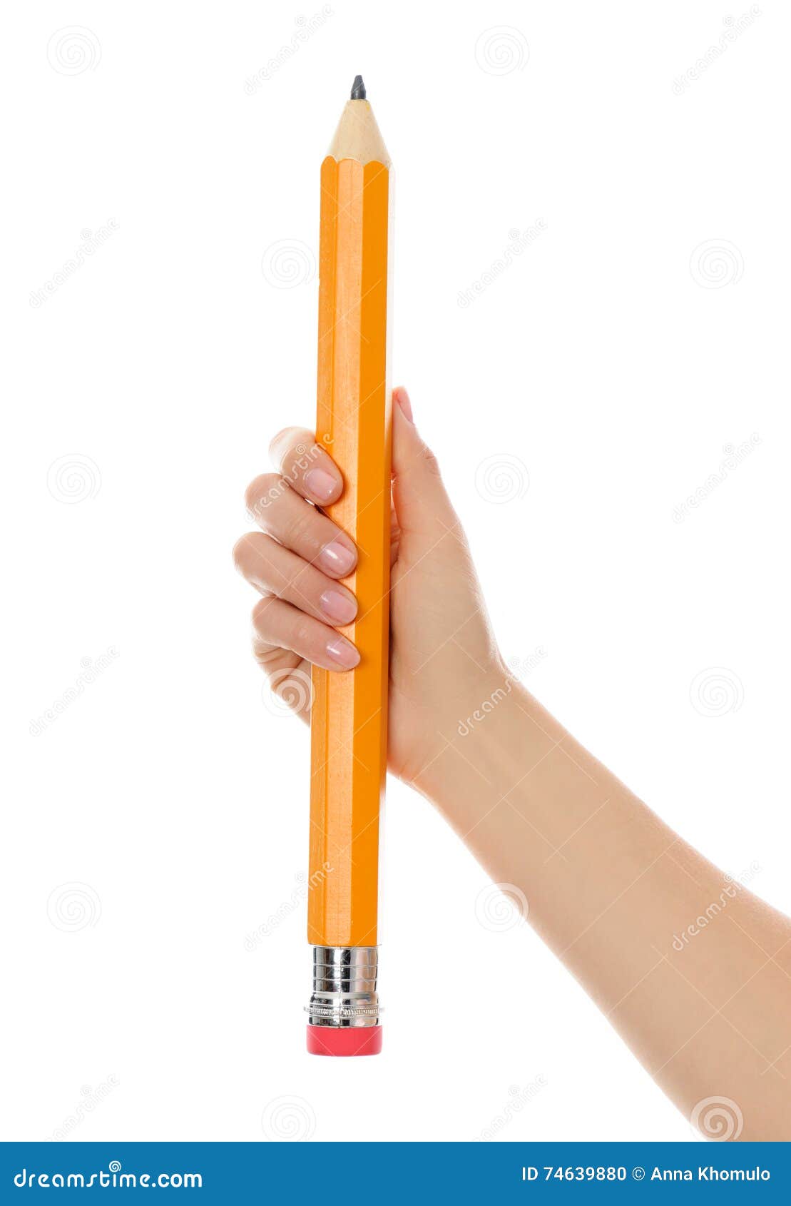 Hand with pencil stock photo. Image of indicate, school - 74639880