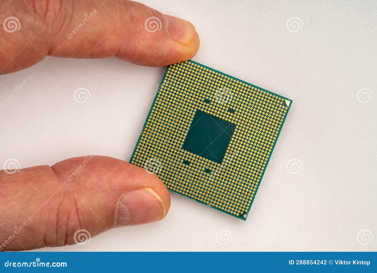 Hand of a Person Holding a Computer Processor Close-up. CPU. Stock ...