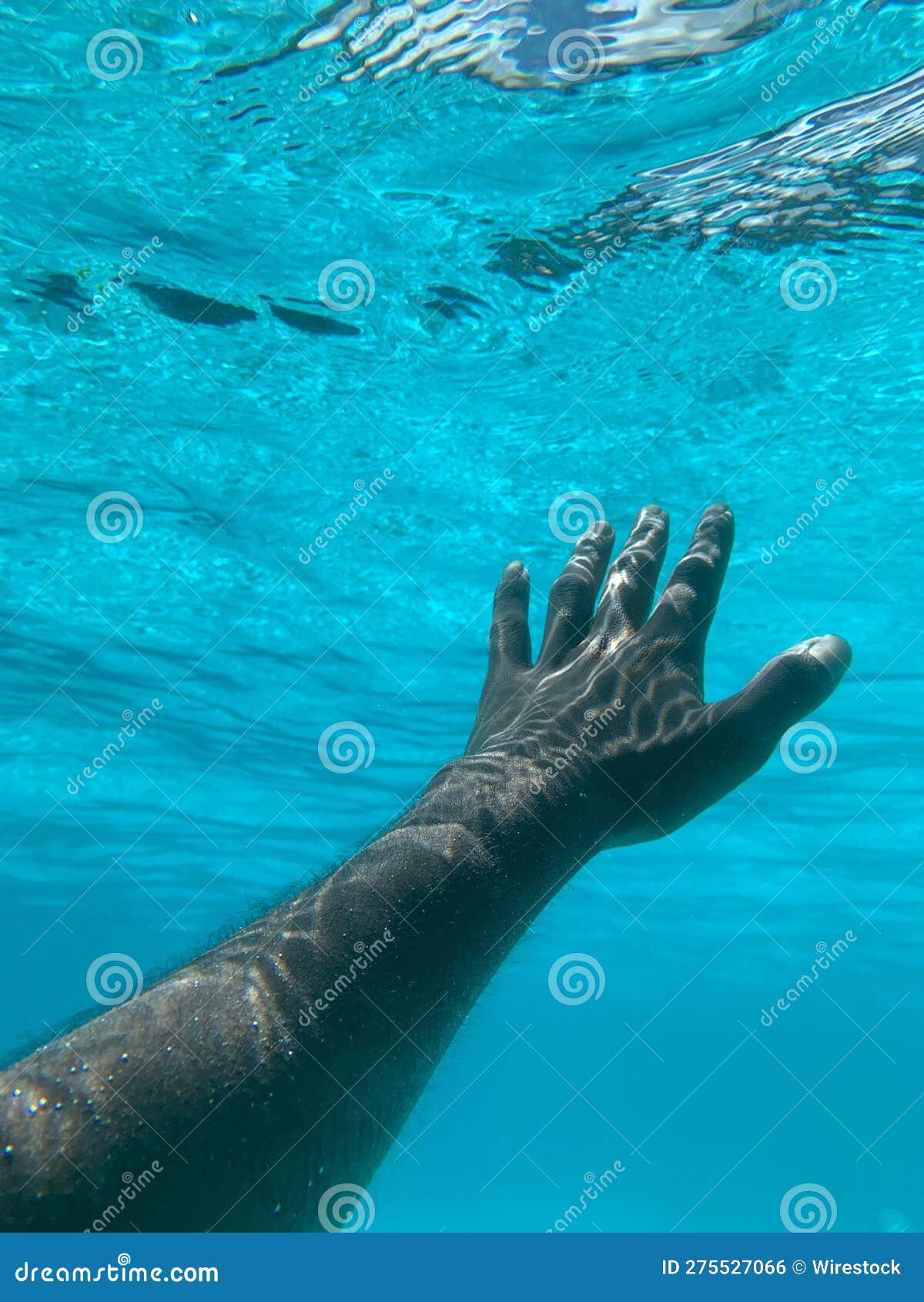 Hand of a Person Underwater in the Swimming Pool Stock Photo - Image of ...
