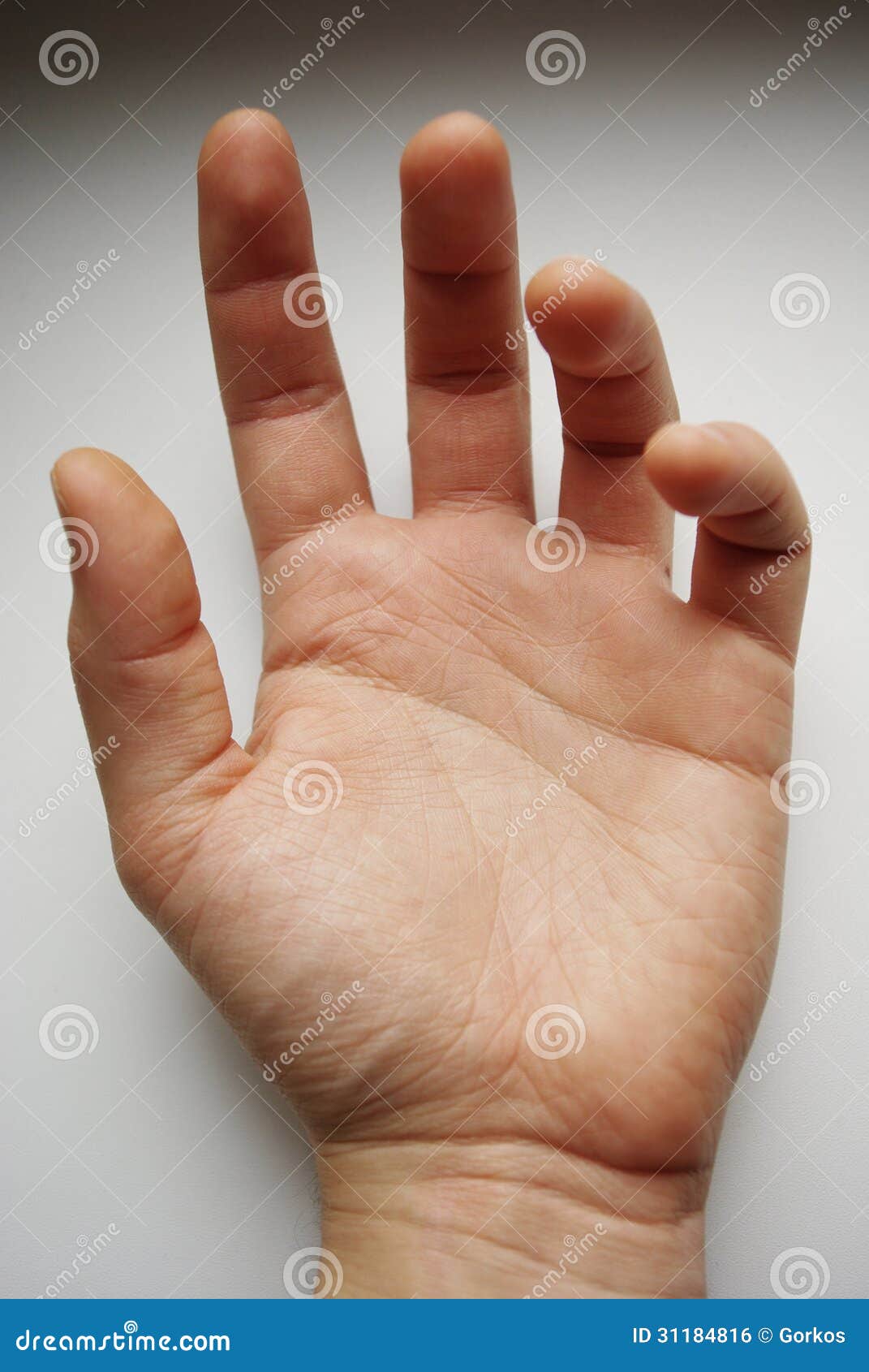 Hand stock photo. Image of touch, lifeline, zodiac, stroke - 31184816