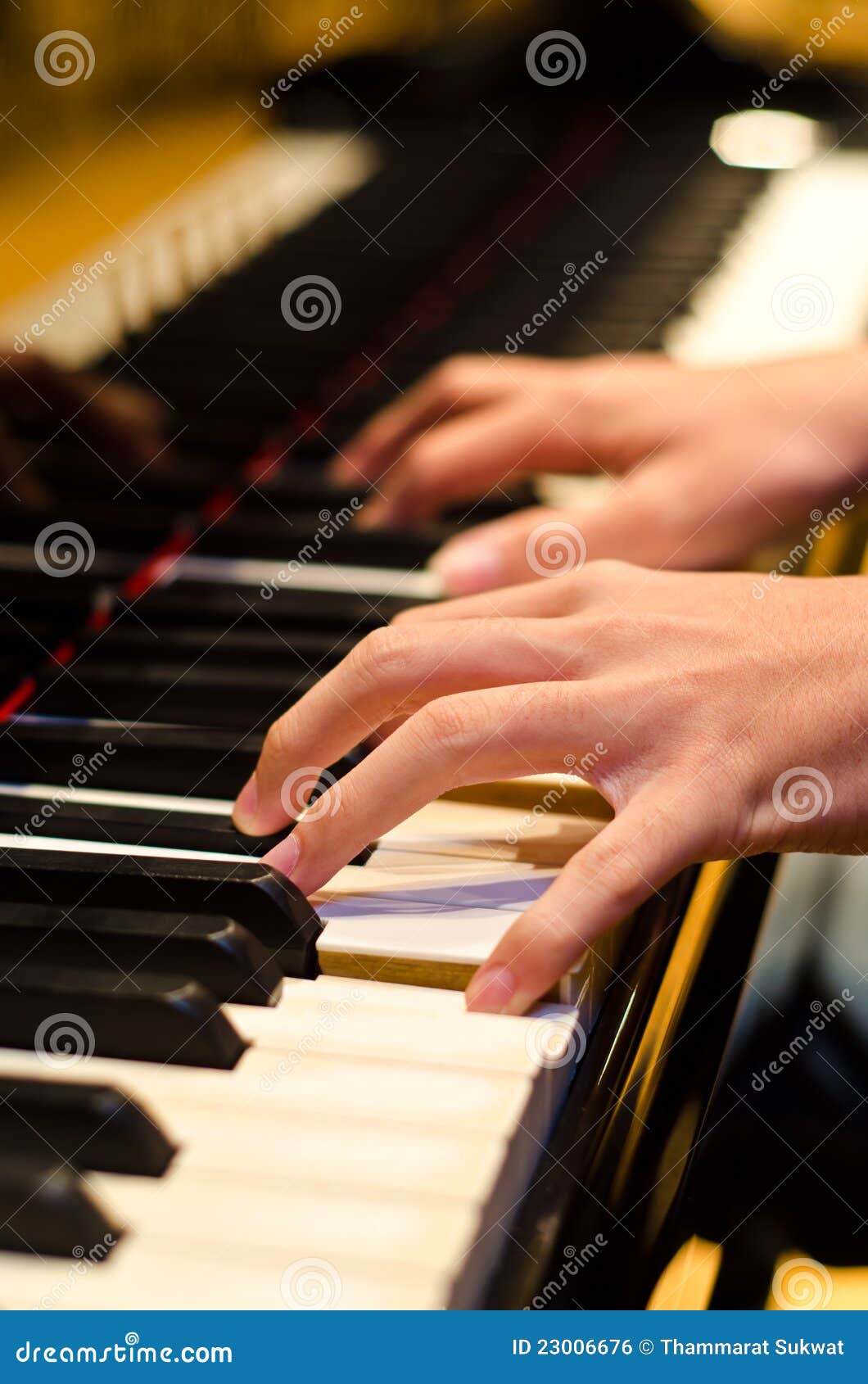 Hand of a piano player stock photo. Image of beauty, button - 23006676