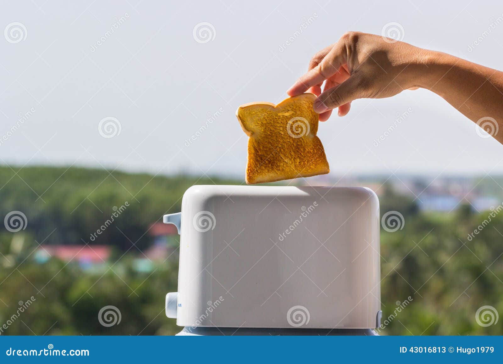 Hand pick up bread stock image. Image of snack, healthy - 43016813