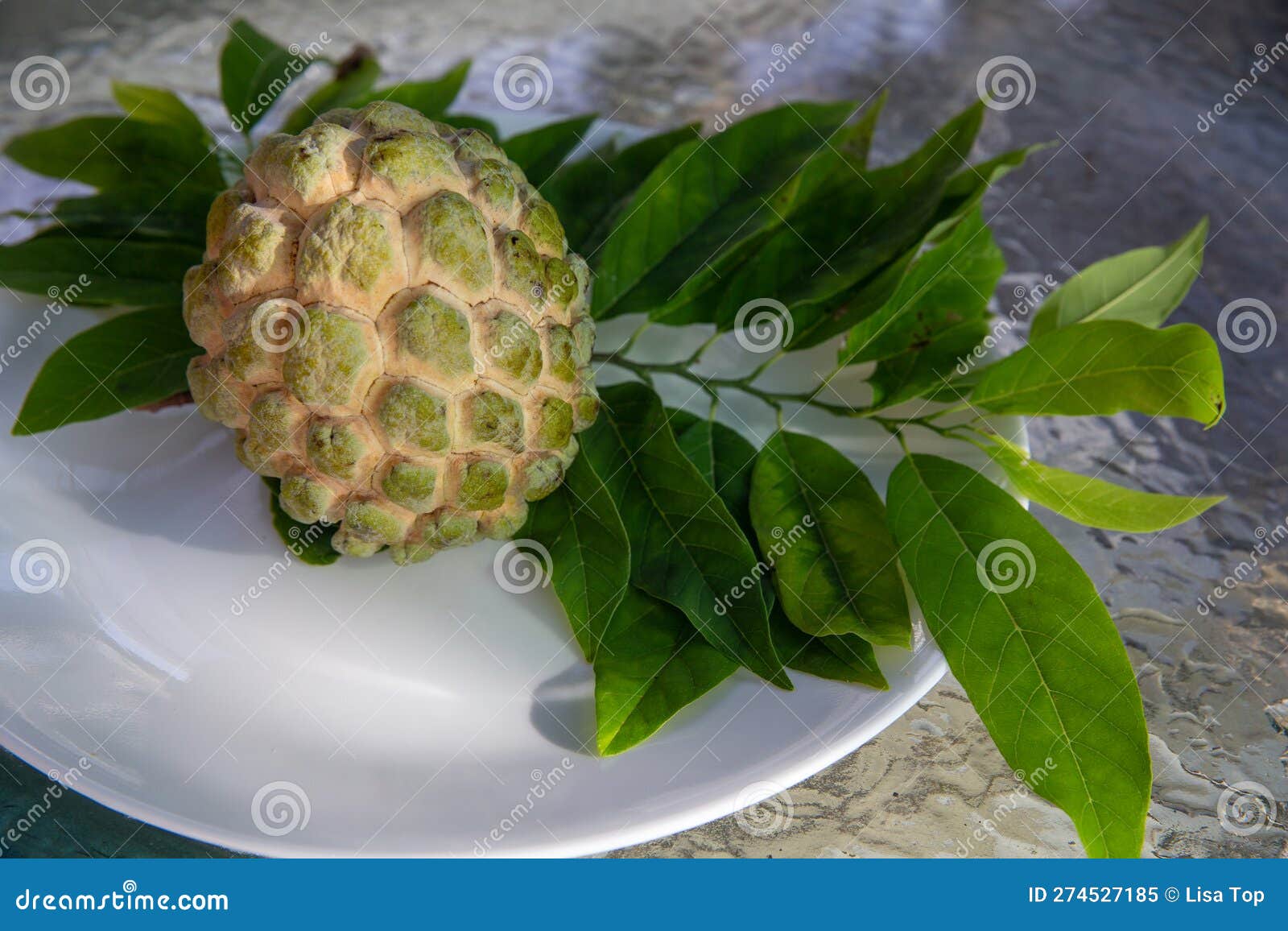 Hand picked Cherimoya stock image. Image of food, fresh - 274527185