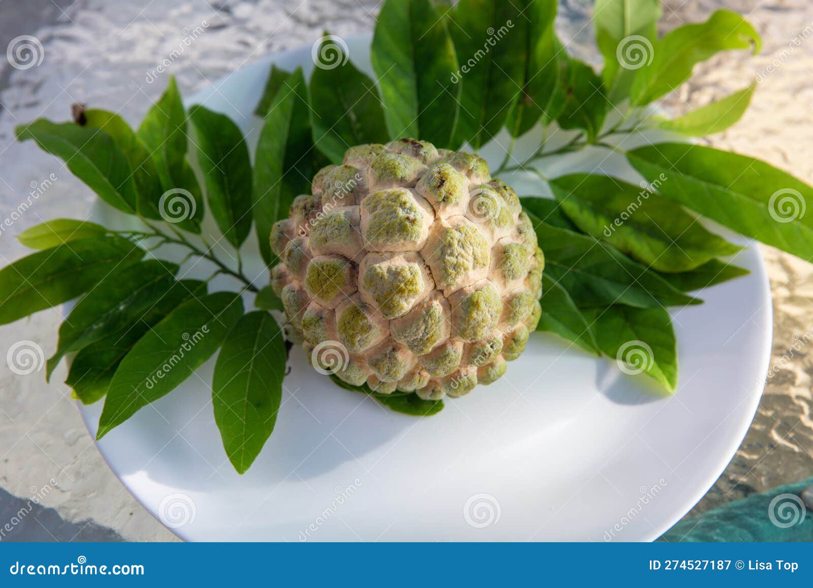 Hand picked Cherimoya stock image. Image of malaysian - 274527187