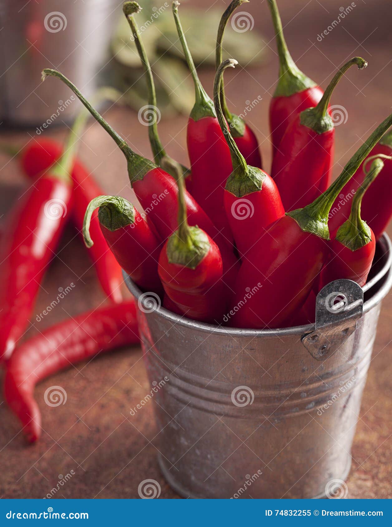 Hand Picked Chillies stock image. Image of picked, freshness - 74832255