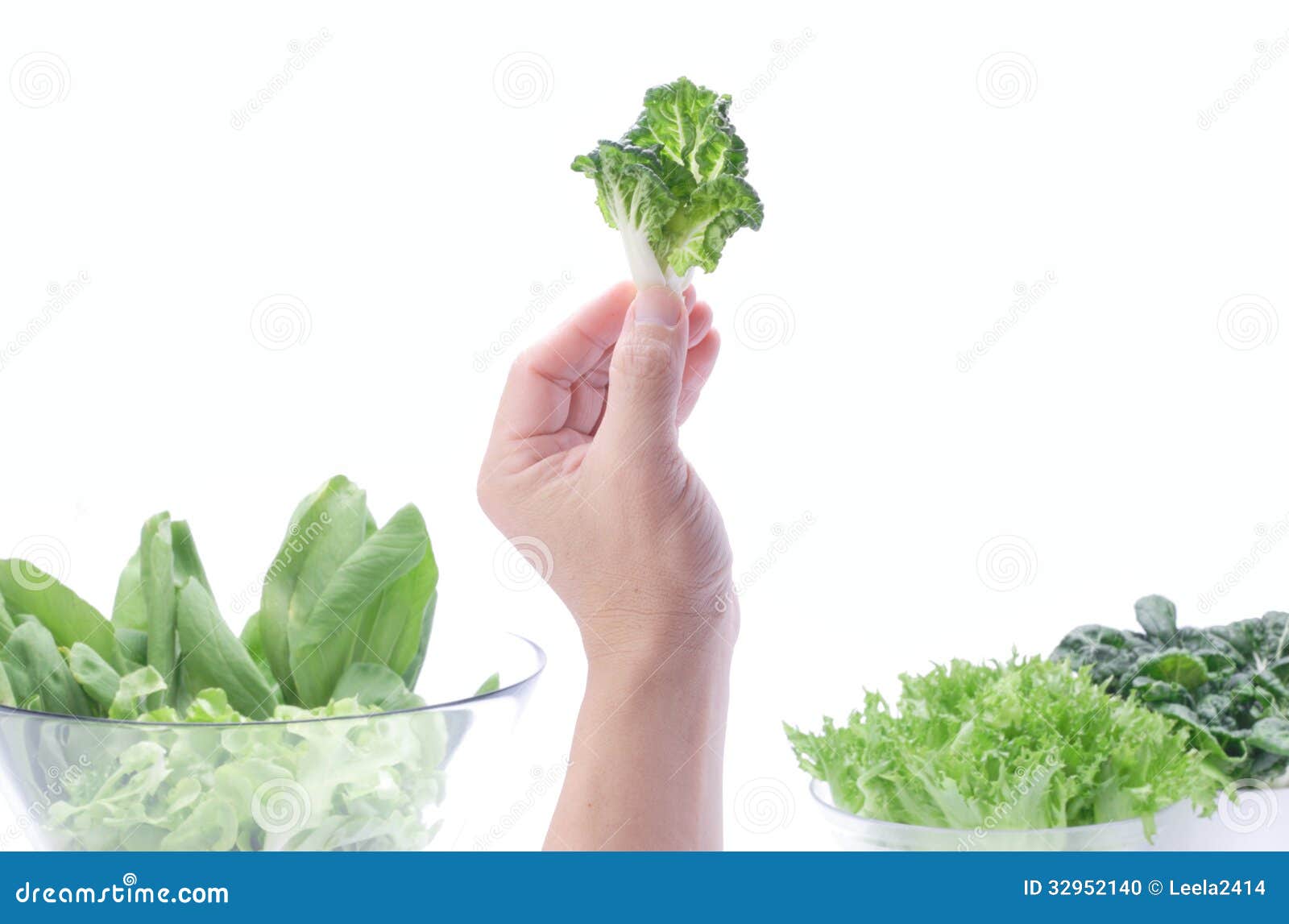 Hand picked vegetables stock photo. Image of foliage - 32952140