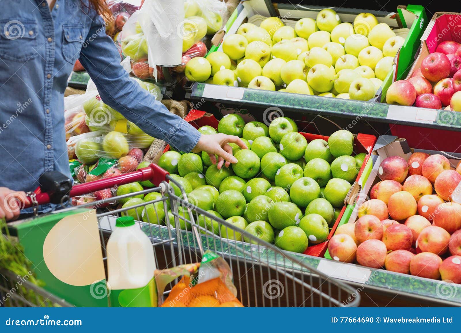Hand picking apples stock photo. Image of food, shop - 77664690