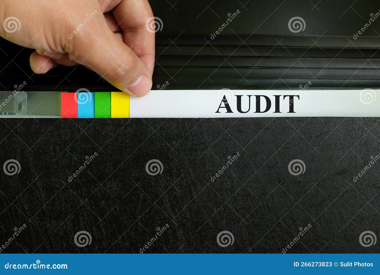 Hand Picking Audit File Record in Black Binder Folder. Auditing in ...