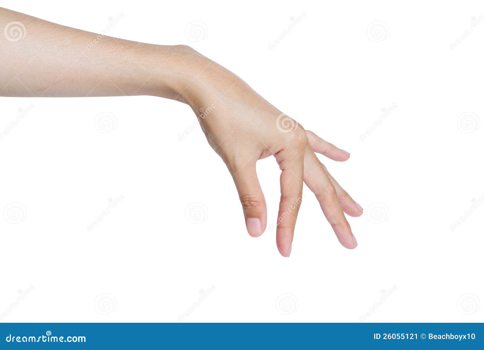 Hand Picking Isolated White Stock Image - Image of female, fingernail ...