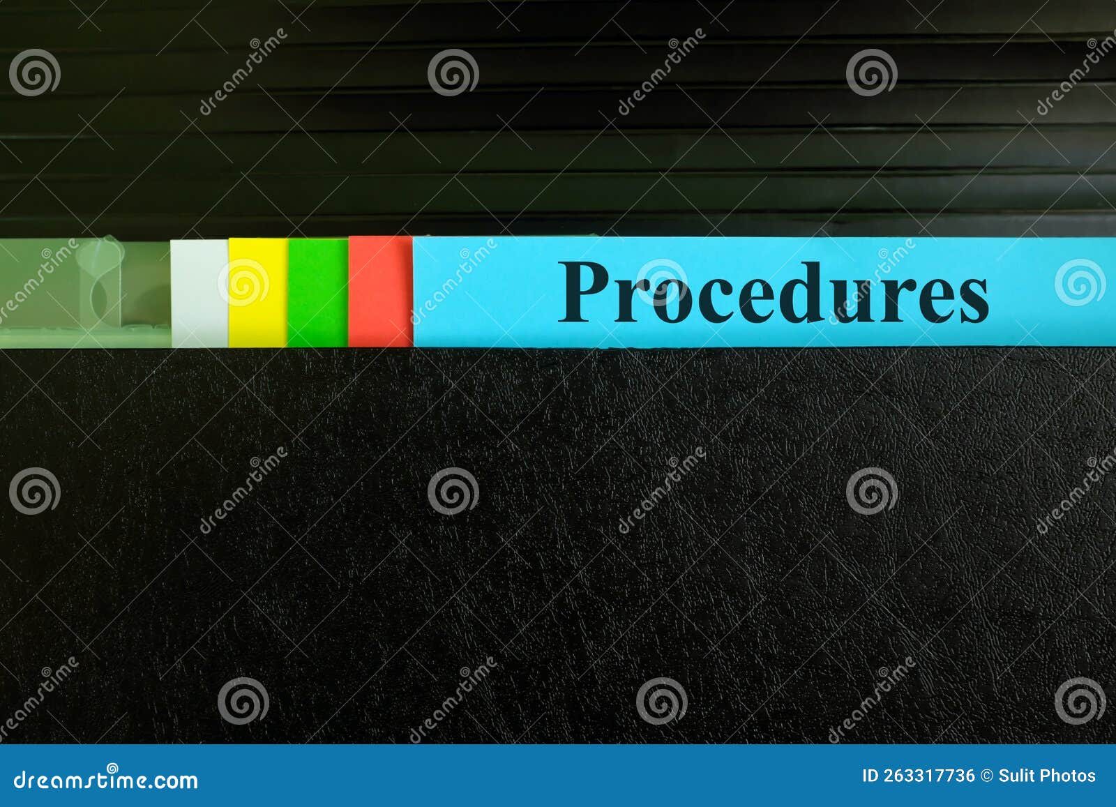 Hand Picking Procedures File Record in Black Binder Folder. Work ...