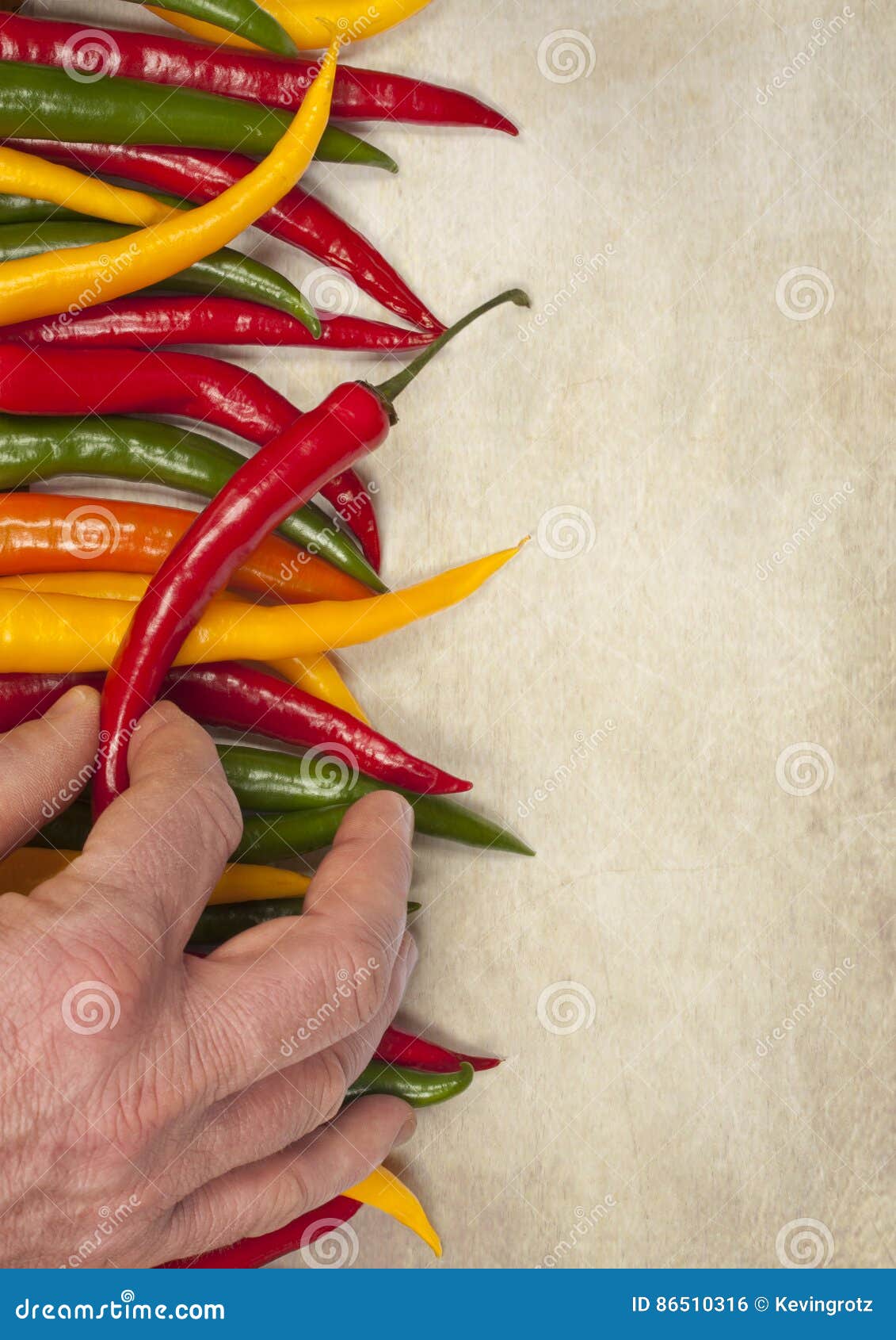 Hand Picking Up Red Hot Chilli Pepper Stock Photo - Image of picking ...