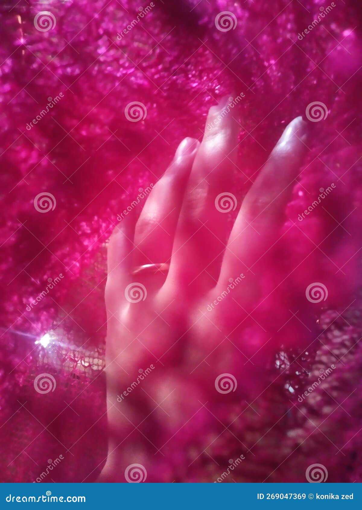 The Hand that is Pinned in the Ring and is in the Net Stock Image ...