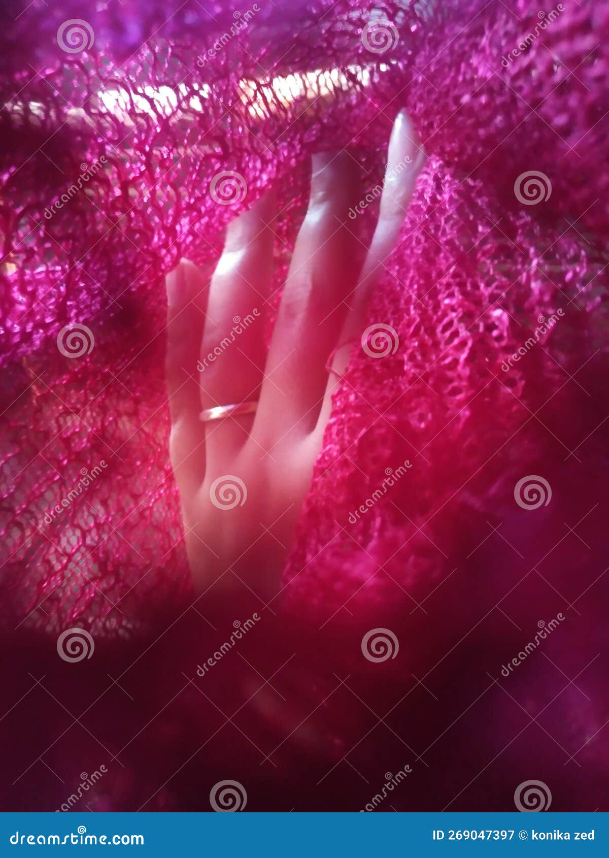 The Hand that is Pinned in the Ring and is in the Net Stock Image ...