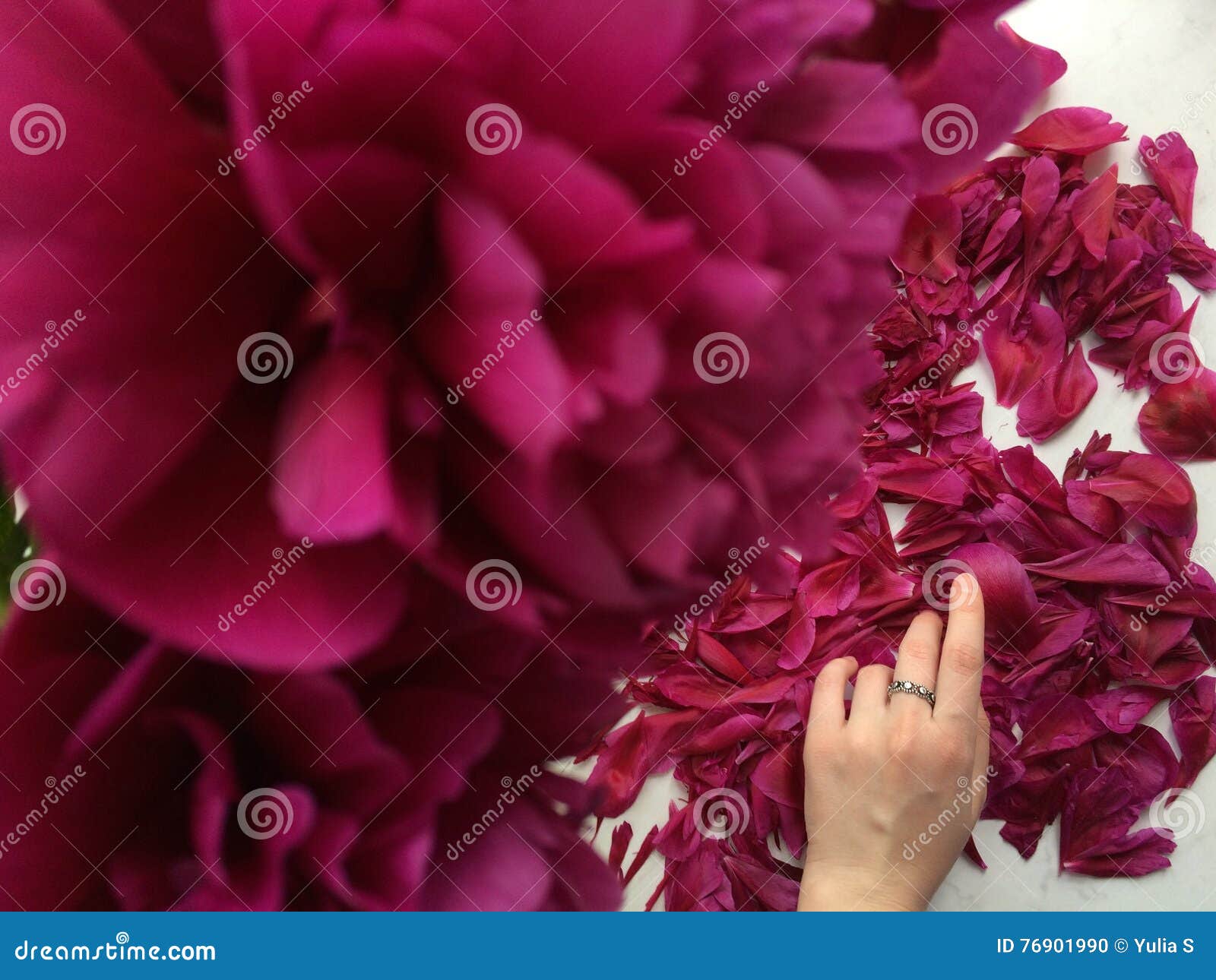 Hand and pion stock photo. Image of woman, ring, hand - 76901990