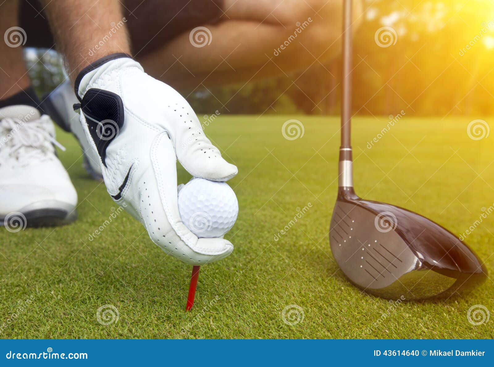 Hand Placing a Tee with Golf Ball Stock Photo - Image of glove, play ...